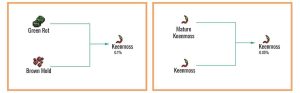 Cookie Clicker Garden Guide To Unlocking Every Seed