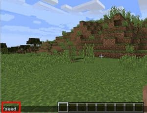 How To Find The Seed Of A Minecraft Server