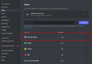 How To Make Reaction Roles On Discord