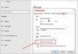 Mouse Cursor Disappeared In Windows? 14 Ways To Fix