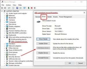 Mouse Cursor Disappeared In Windows? 14 Ways To Fix