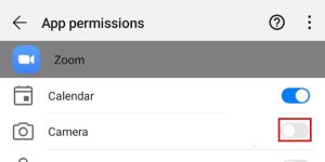 Why Is My Zoom Video Not Working