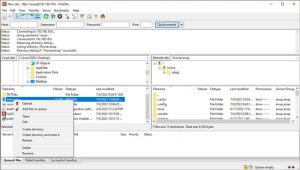 How To Transfer File From Linux To Windows