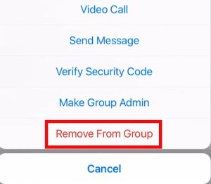 How to Remove Someone From Group Text on iPhone – Tech News Today