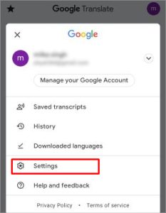 How To Change Voice On Google Translate?