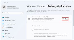 What Is Delivery Optimization Files? Should You Delete Them