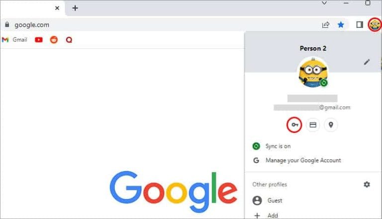 How To See Saved Passwords On Chrome
