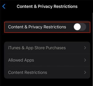 11 Ways To Fix Netflix Showing Black Screen