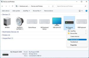 Why Is WD Passport Not Showing Up In Windows? 12 Ways To Fix It