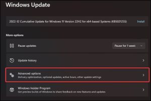 How To Perform Windows 11 Manual Update