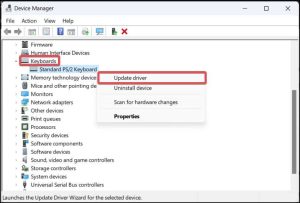 Function Key (Fn) Is Not Working - How To Fix It
