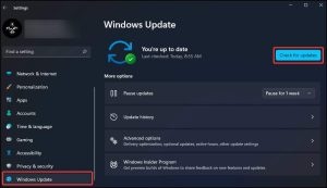 How To Perform Windows 11 Manual Update