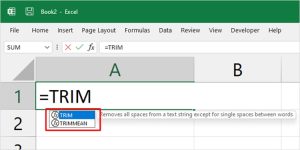 Excel Trim Function Not Working? Try These Fixes