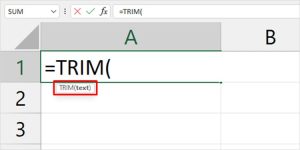 Excel Trim Function Not Working? Try These Fixes