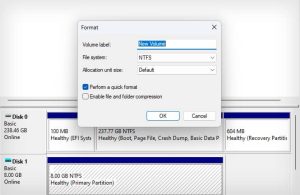 How To Format An SSD