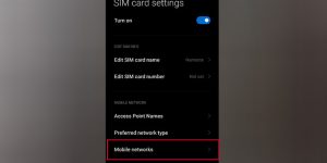 6 Ways To Fix “Not Registered On Network”