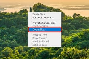 How To Print Large Images On Multiple Pages? 4 Best Ways
